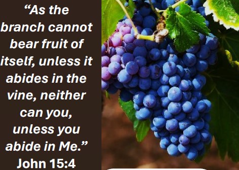 The Original Gospel – Examining Bible Truth from the Scriptures alone.